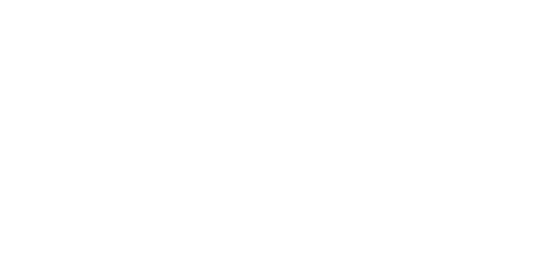 Quick Start – NeuricLab